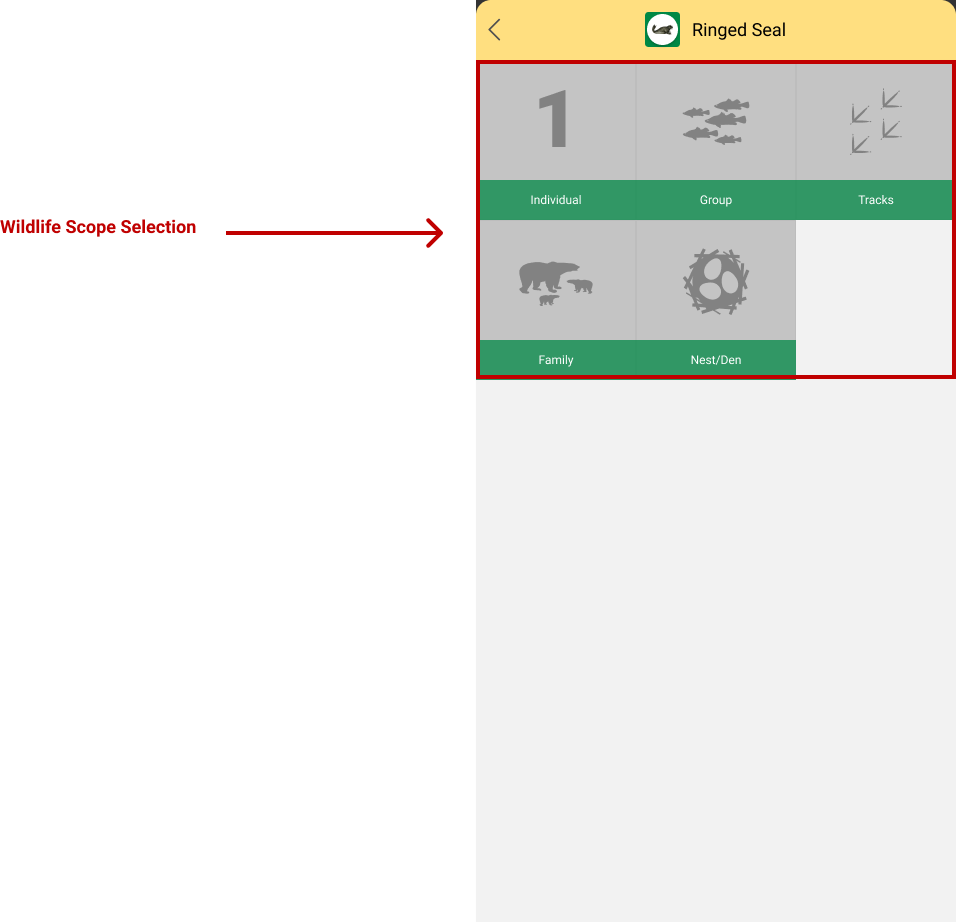 SIKU Vocabulary & Diagrams – SIKU Support Site